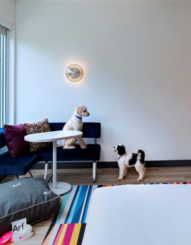 Music-inspired Design Hotels | Aloft Hotels